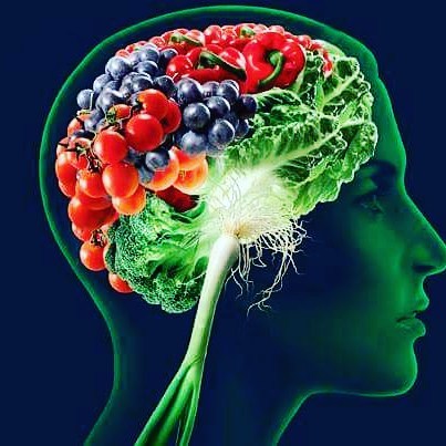 How the food you eat affects your brain | Orgnat Life Products