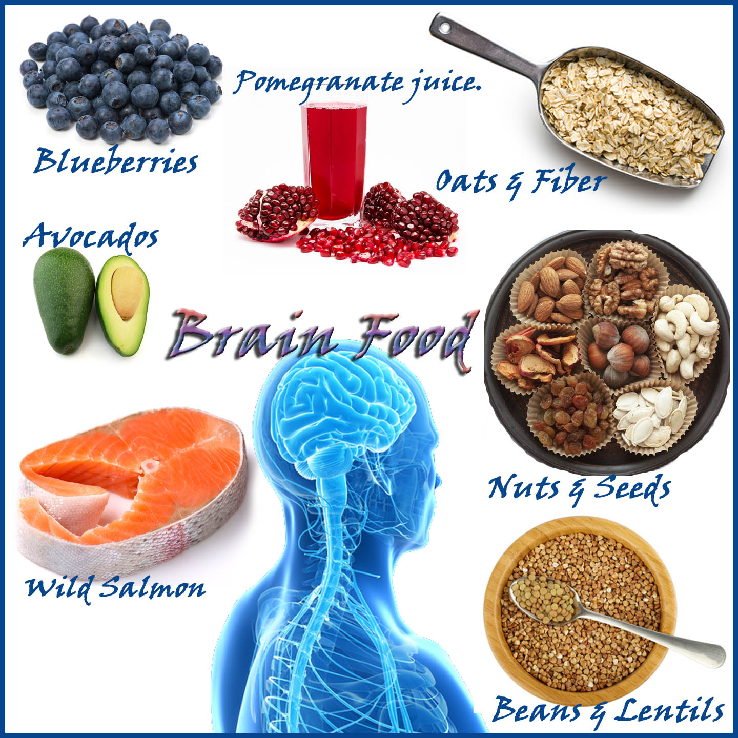 How the food you eat affects your brain | Orgnat Life Products