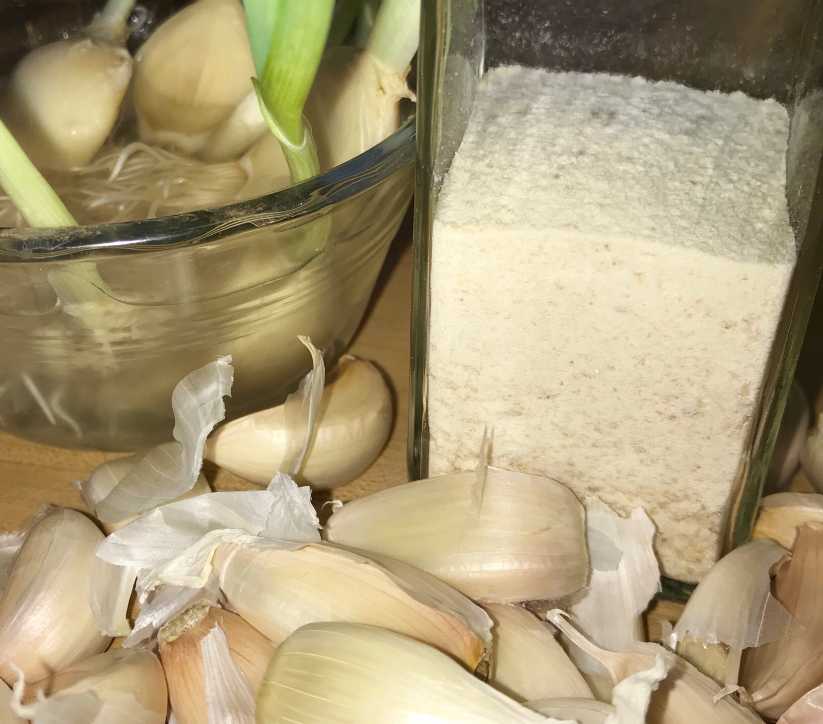 HEALTHY CHOICES WITH ORGANIC HOME MADE GARLIC POWDER | Orgnat Life Products