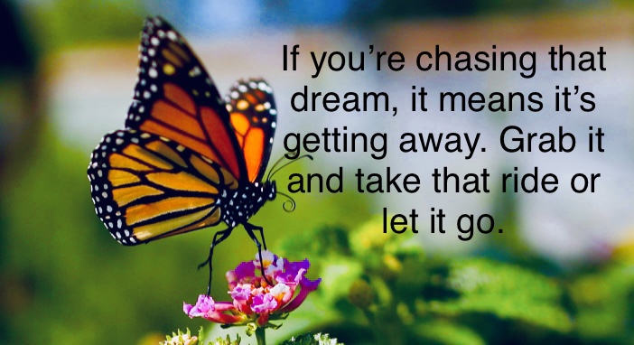 Chasing That Dream | Orgnat Life Products