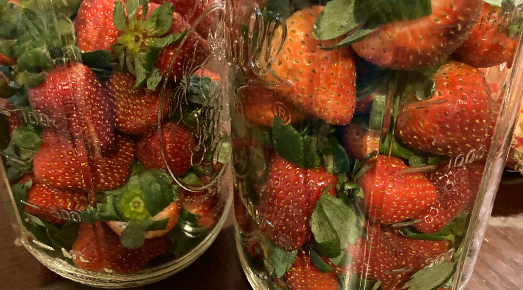 UPDATE: Mason Jar Fruit Experiment | Orgnat Life Products